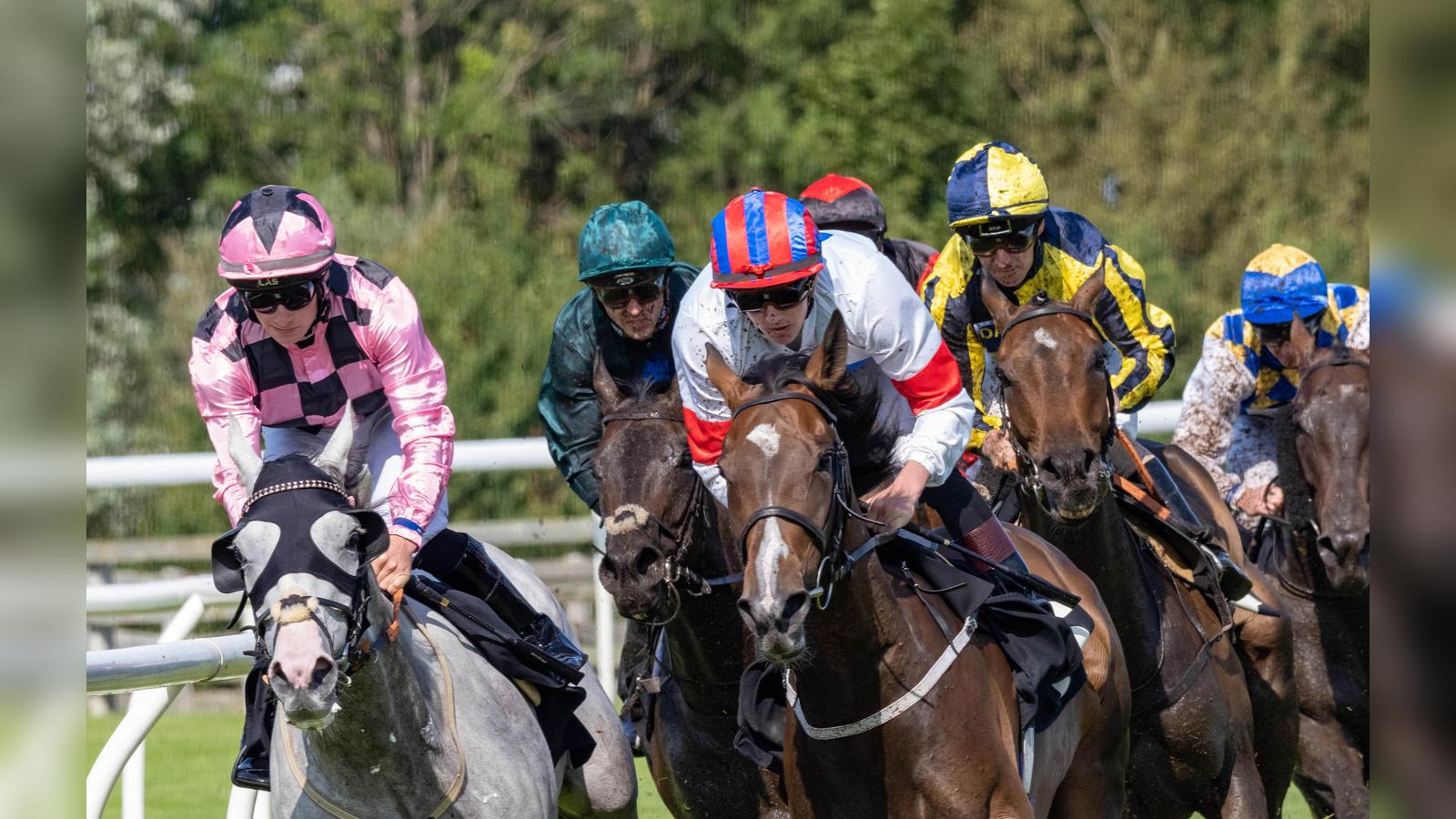 £1 Million Guaranteed Daily Tote Placepot Pools at Cheltenham Festival 2024