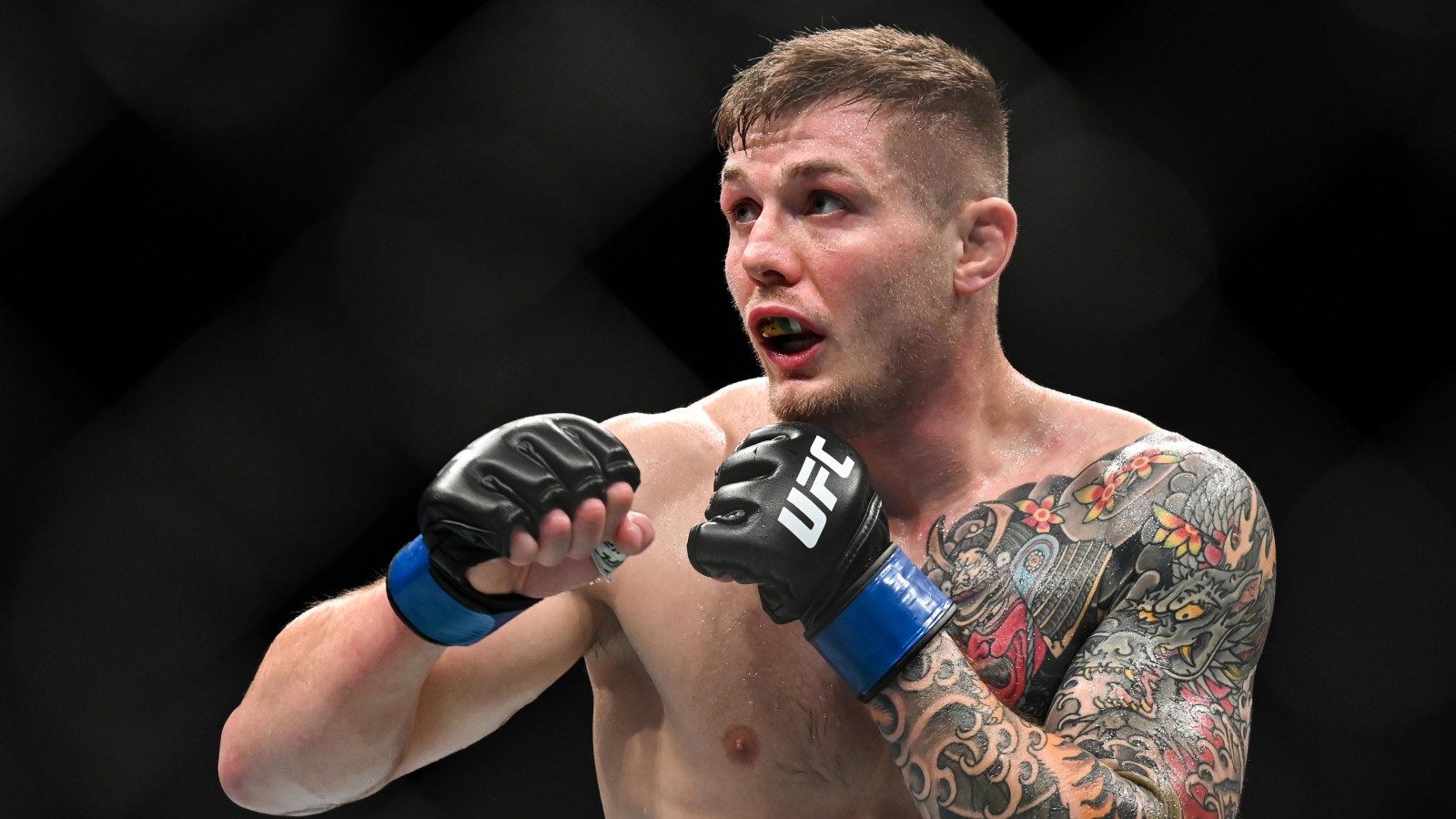 UFC Vegas 75: Vettori vs. Cannonier Odds, Picks & UFC Best Bets