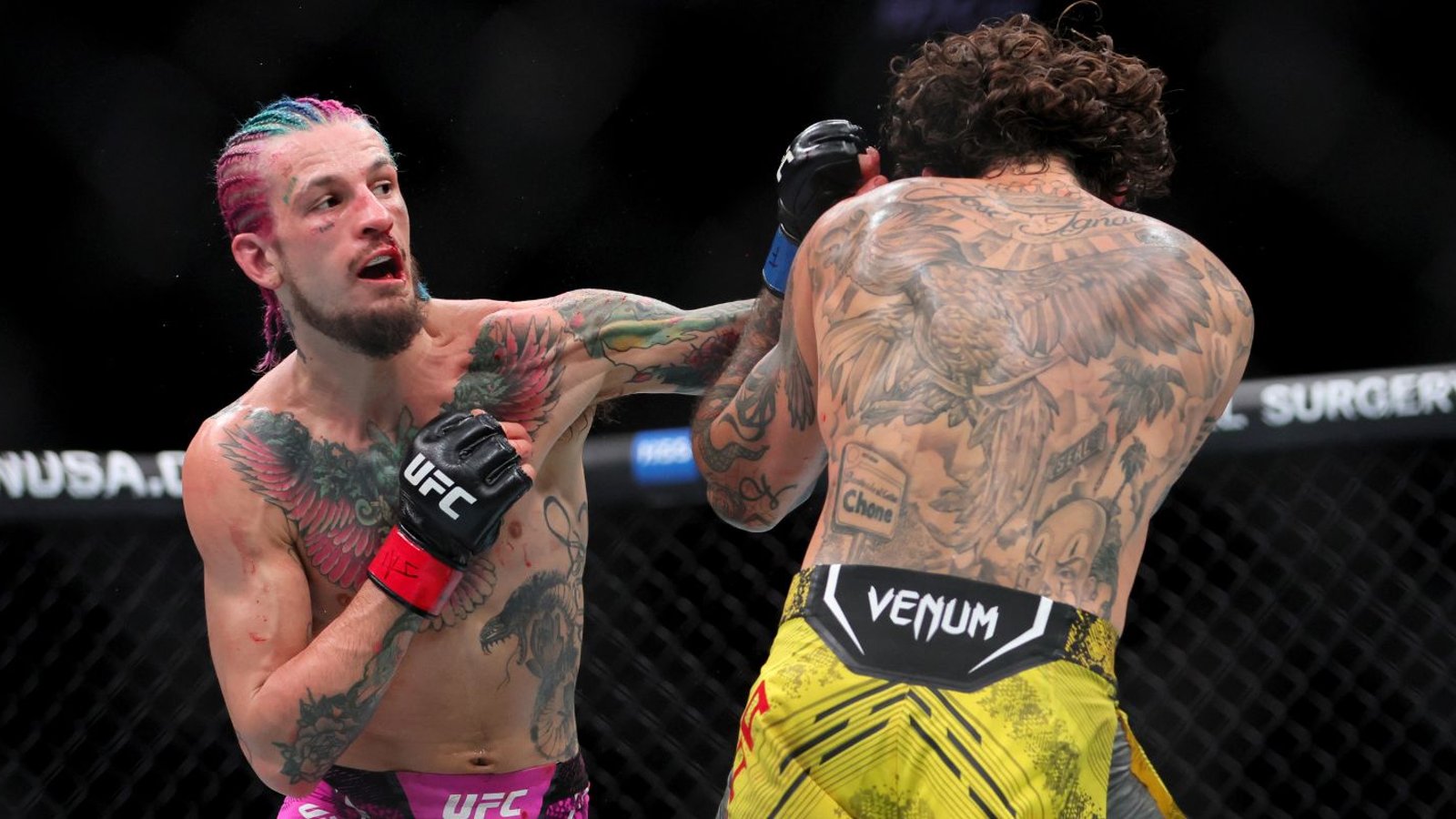 UFC 306 Odds, Picks, Predictions & UFC Best Bets For O’Malley vs ...