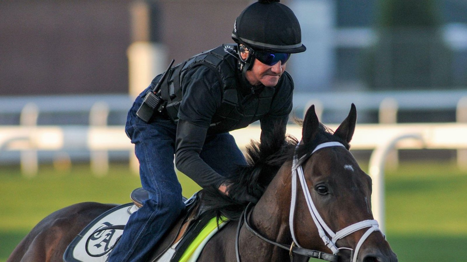 2024 Haskell Stakes Horse Racing Picks: Who Will Win The Haskell Race?